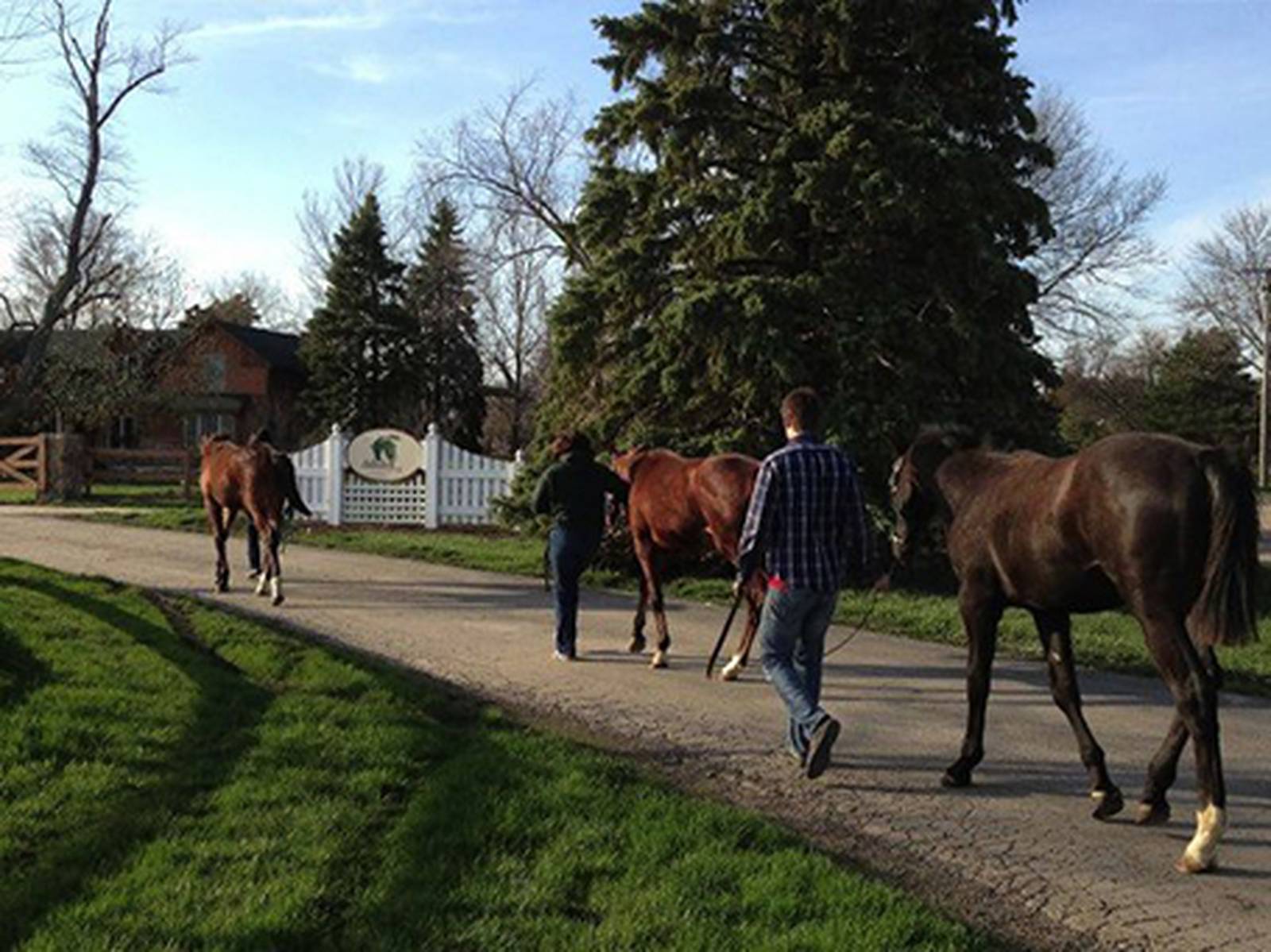 Aliboo Farm shows its heart during disaster – Shaw Local