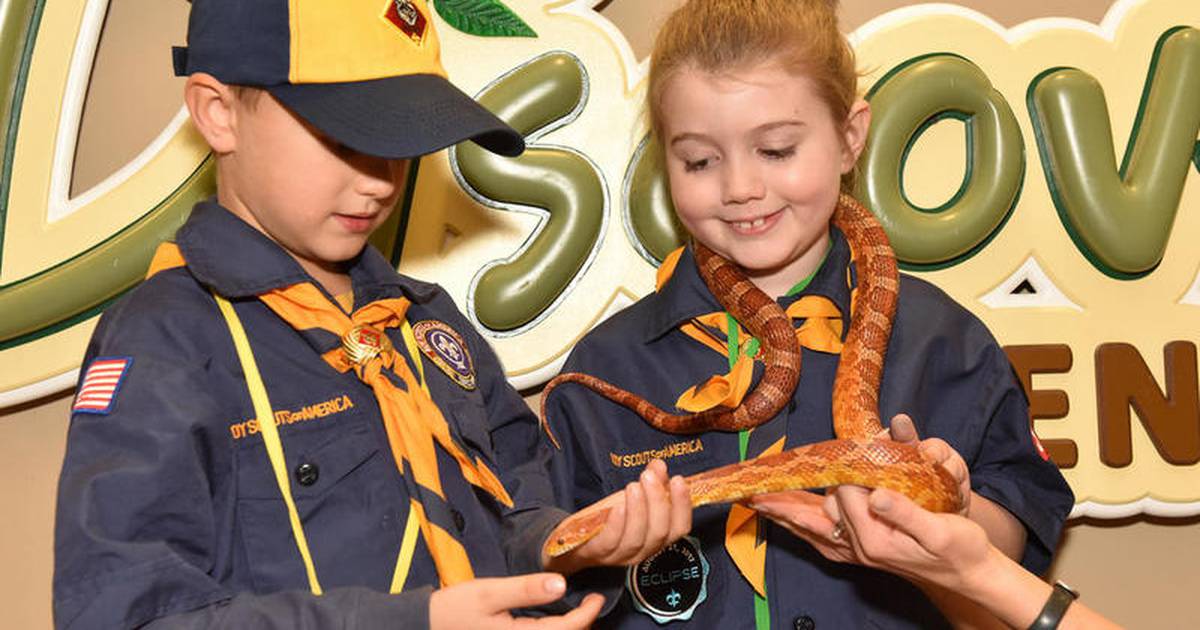 Special scouting event provides a day of animal exploration ...