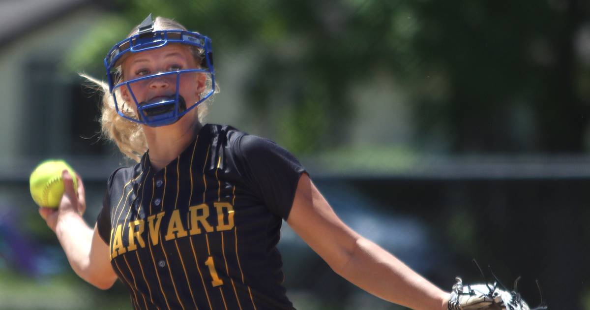 Softball: 2024 Northwest Herald All-Area Team – Shaw Local