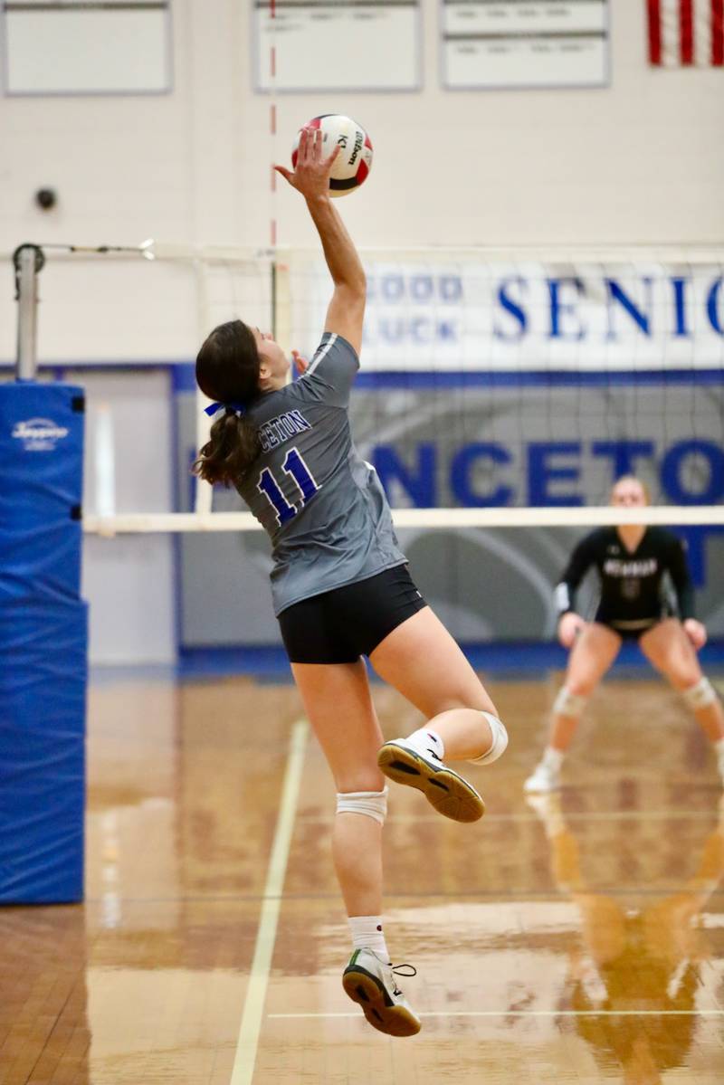 Photos: Newman at Princeton volleyball – Shaw Local