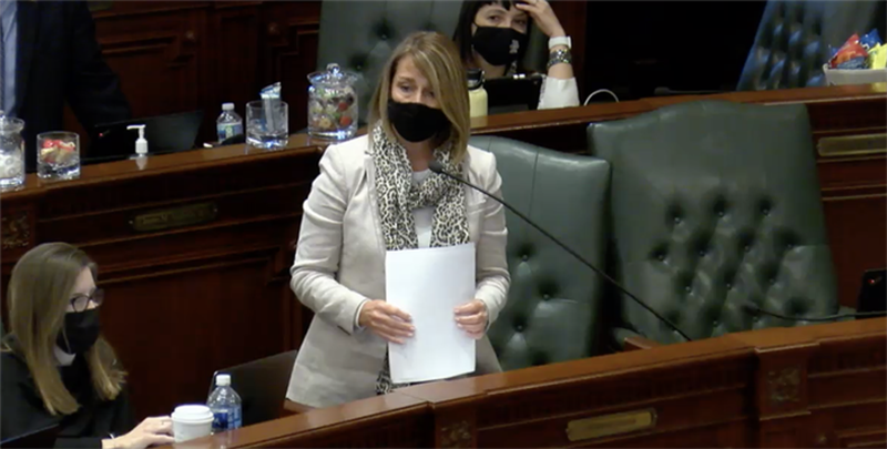 Illinois House passes bill reducing barriers to telehealth – Shaw Local