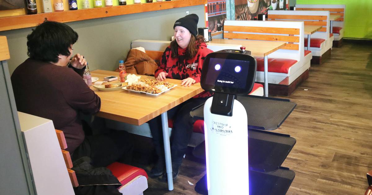 Photos: Mushroom the robot waits tables at DeKalb's Fushi Yami hibachi ...