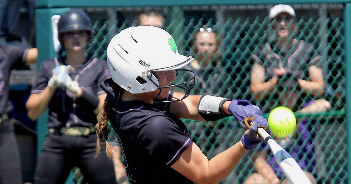 Presenting the 2024 Times Softball All-Area Team – Shaw Local