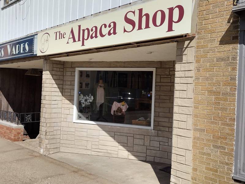 Eyes on Enterprise: New alpaca products shop opens in Princeton – Shaw ...