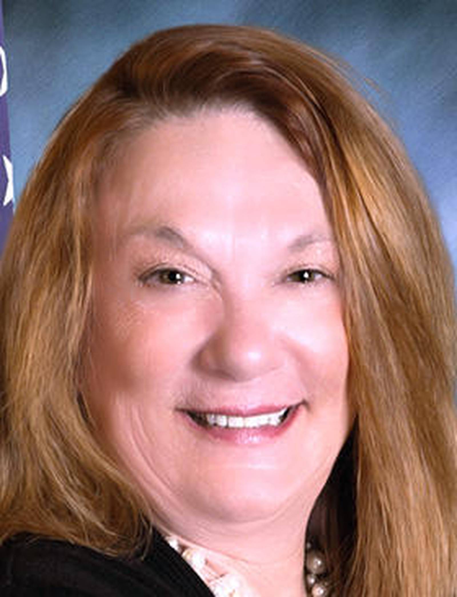 Sen. Pamela Althoff to run for McHenry County Board District 4 – Shaw Local