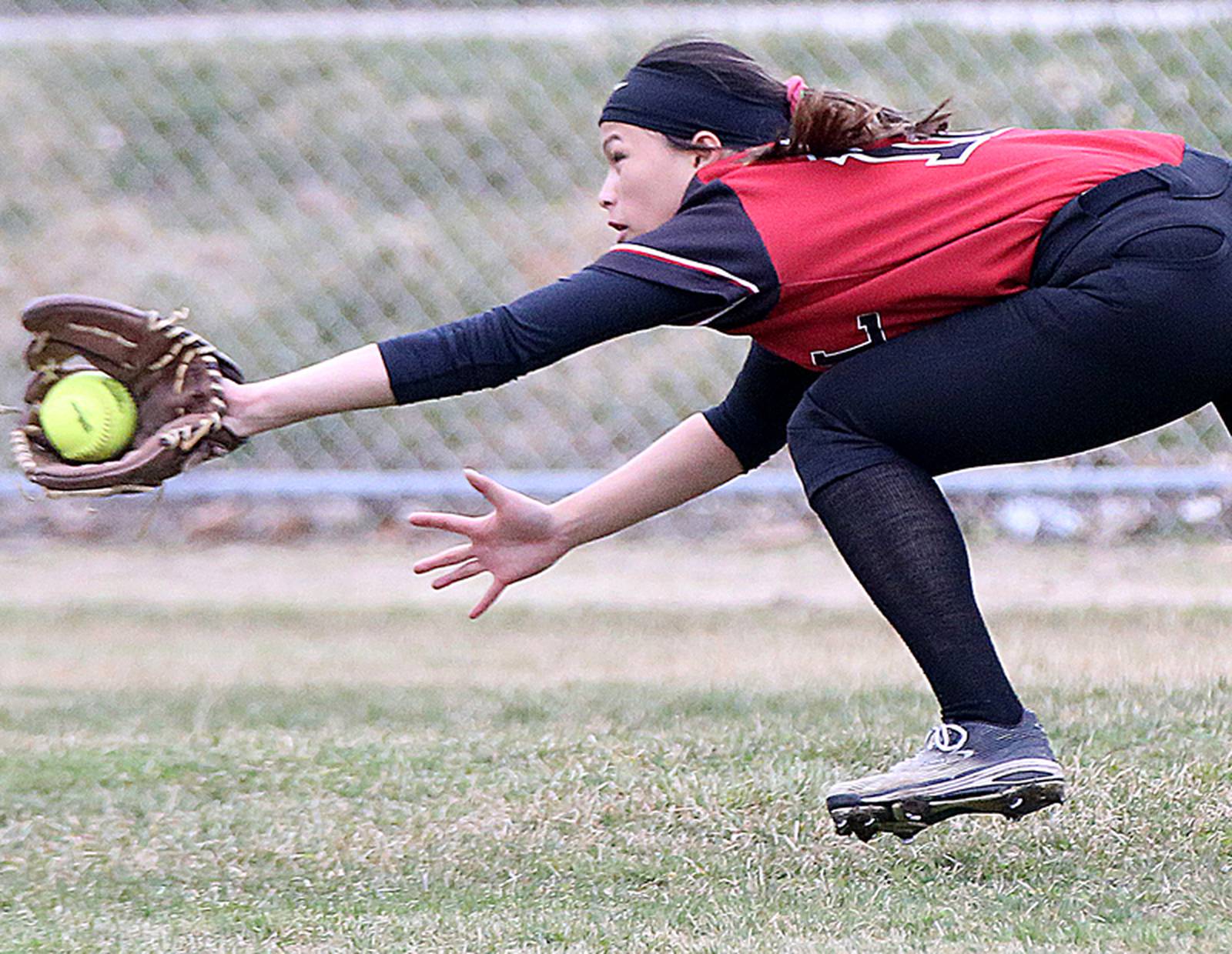 Hall softball preview: Seniors to lead Red Devils – Shaw Local