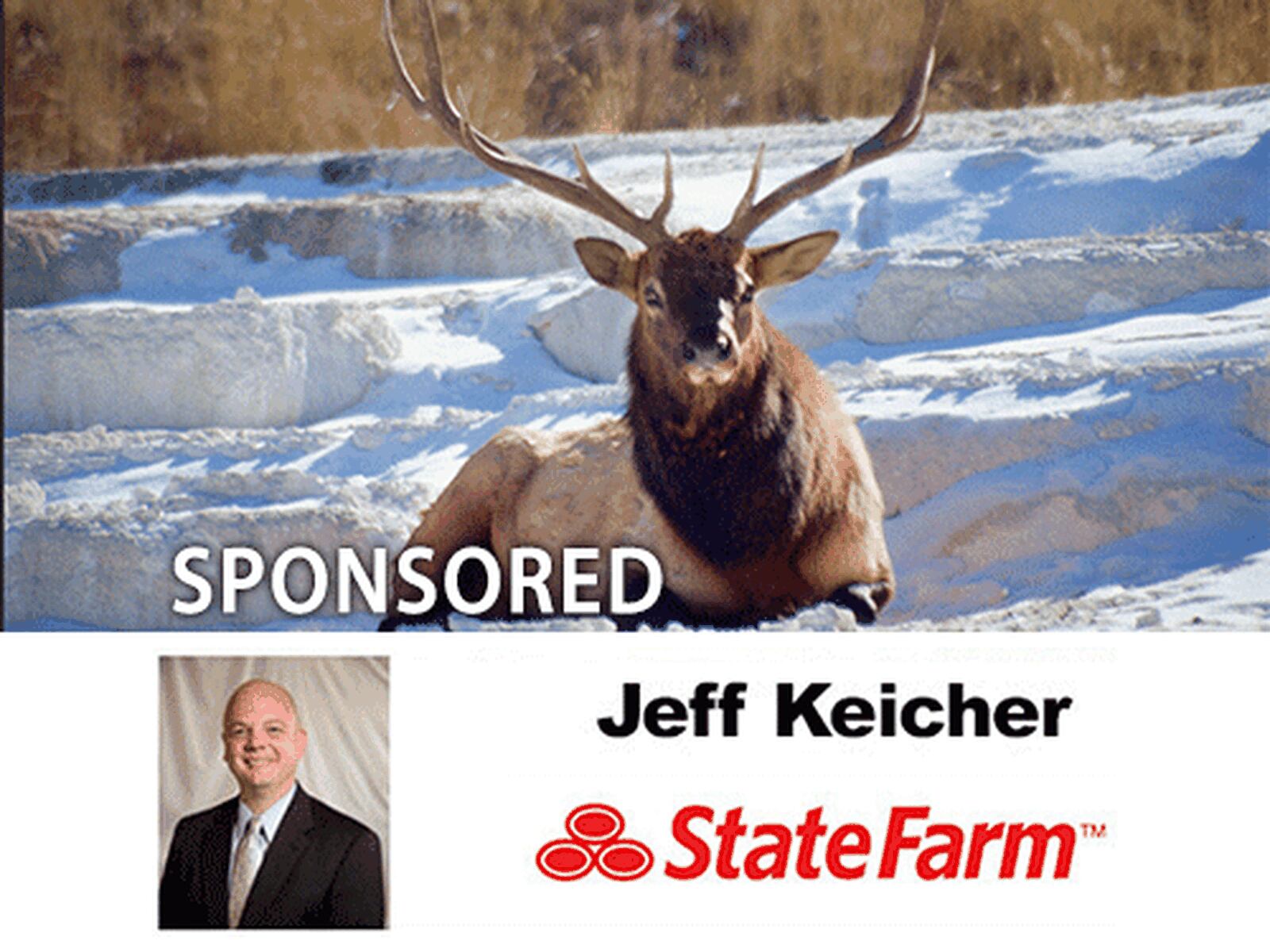 6 Things to Do After Hitting a Deer – Shaw Local