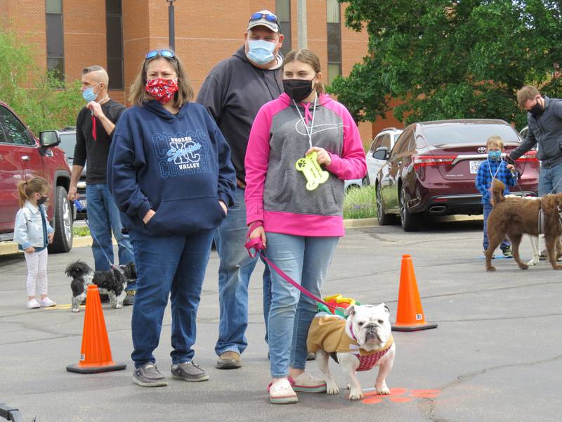 Photos: Paws on Park Avenue pup parade – Shaw Local