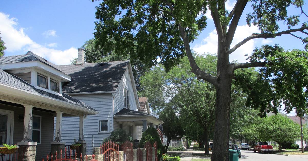 Joliet gets grant from Morton Arboretum to widen city tree inventory ...