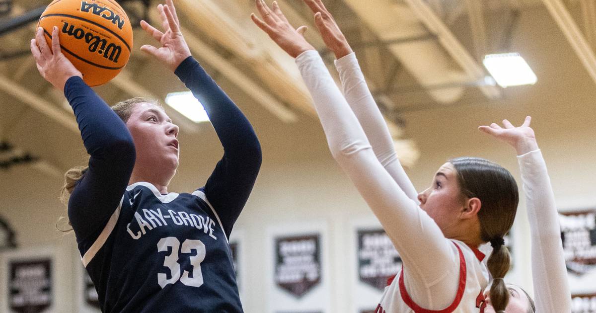 Girls basketball: 2024-25 All-Fox Valley Conference team announced ...