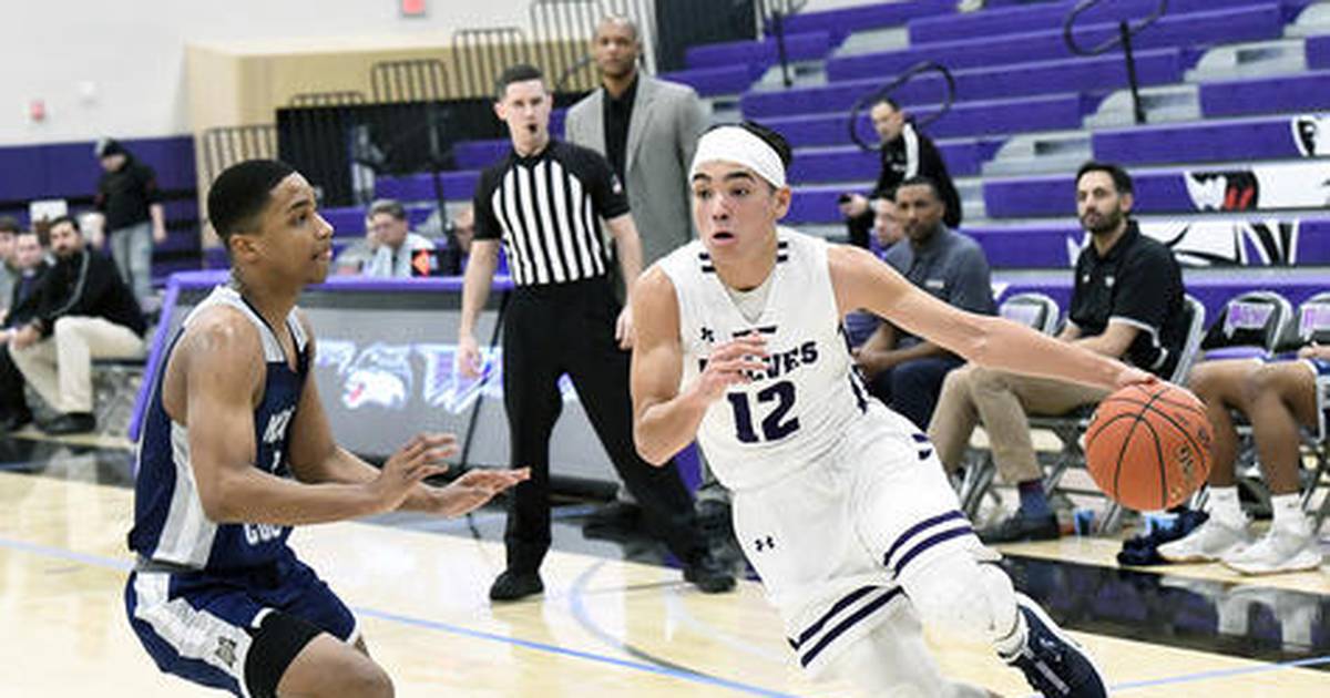 College basketball: Local athletes win national honors – Shaw Local