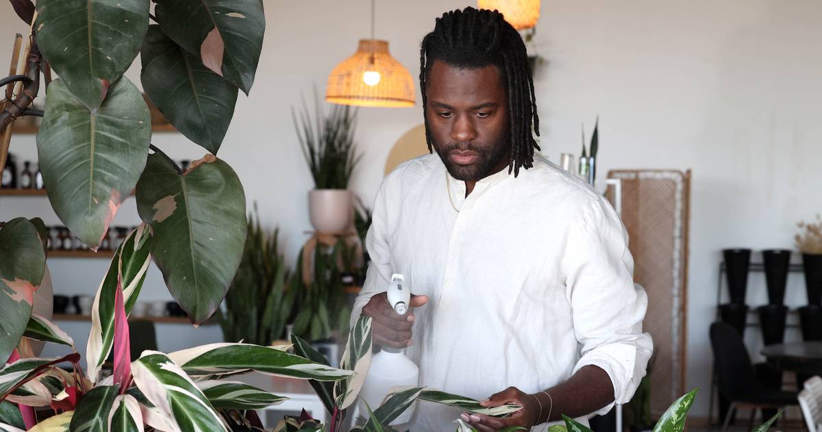Coffee, plants and yoga? It’s all at the growing Greenhouse in Sycamore ...