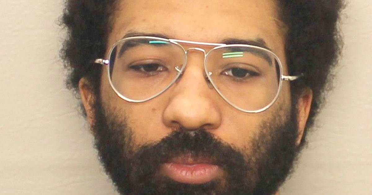 Markham man pleads guilty to battery against Polo woman – Shaw Local