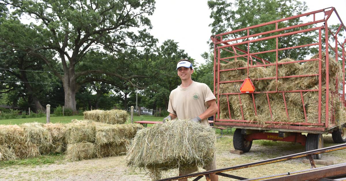 St. Charles Park District: Primrose Farm seeking volunteer help – Shaw ...