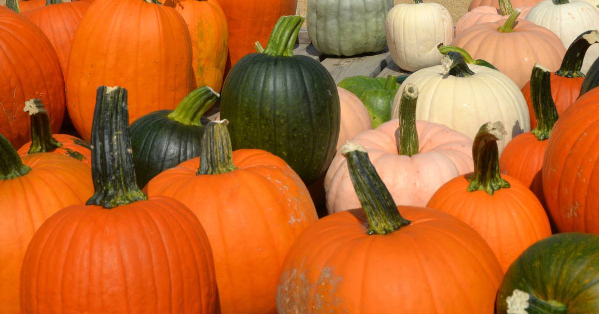 2024 Stateline Fruit and Vegetable Growers Conference is Feb. 19 in ...