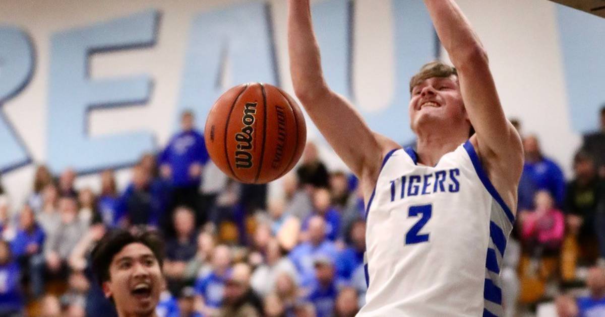Boys basketball: Teegan Davis, Princeton roll past Hall – Shaw Local