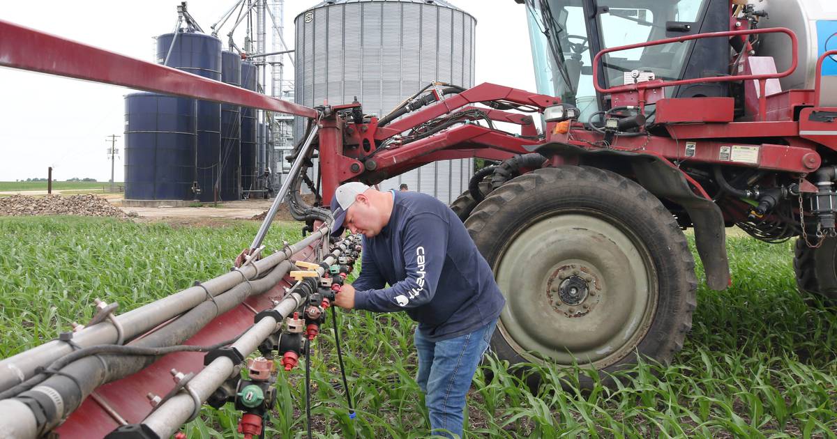 Photos: Malta farmer reflects on planting season, talks drought – Shaw ...