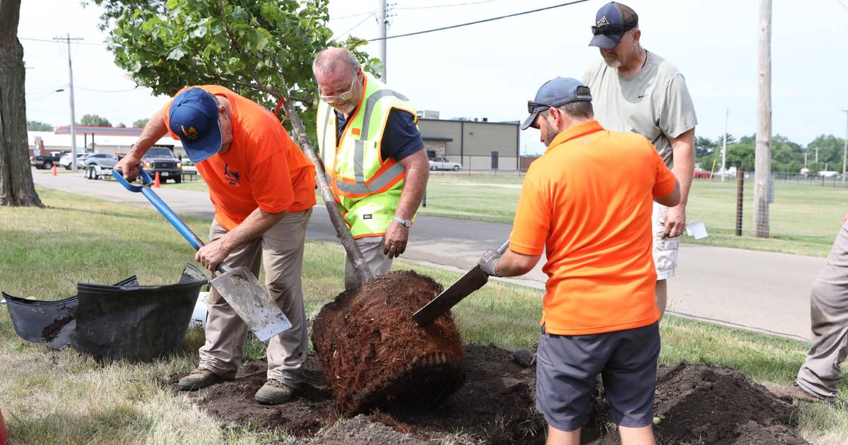 Princeton continues mission to ‘Plant 100 Trees a Year’ – Shaw Local