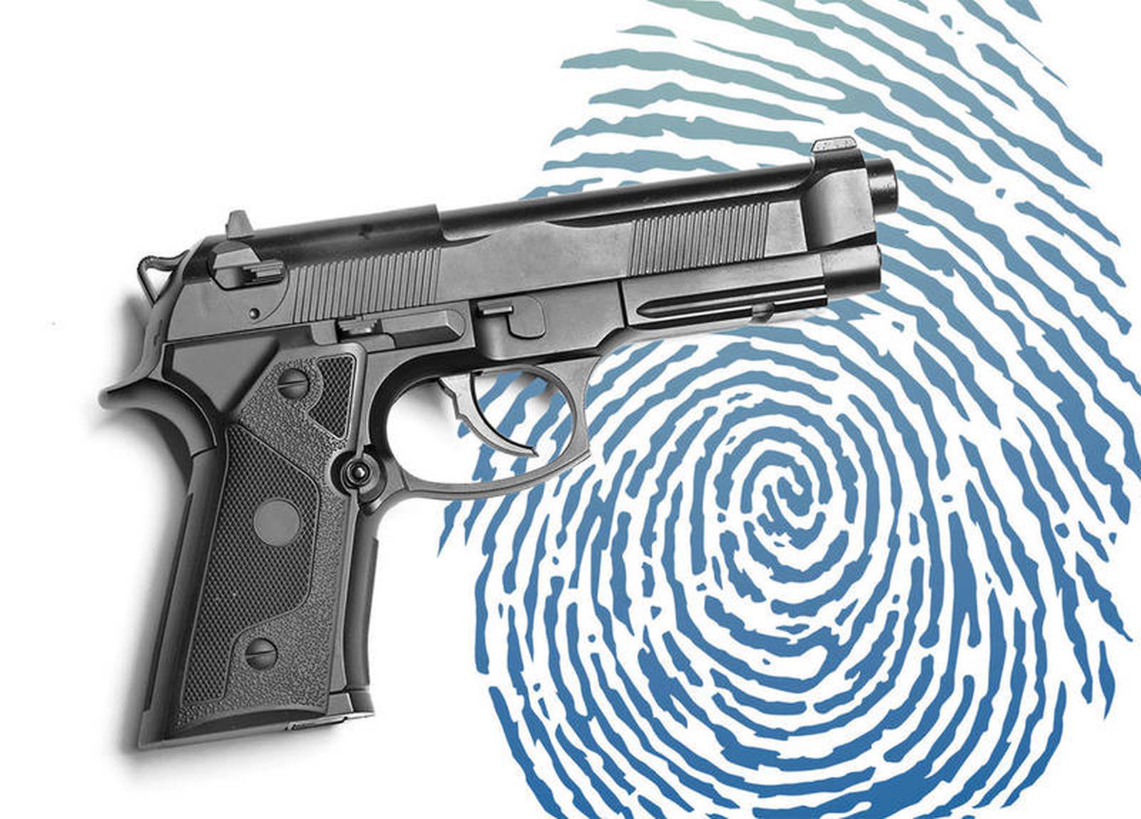 State Police director backs fingerprinting for FOID cards – Shaw Local