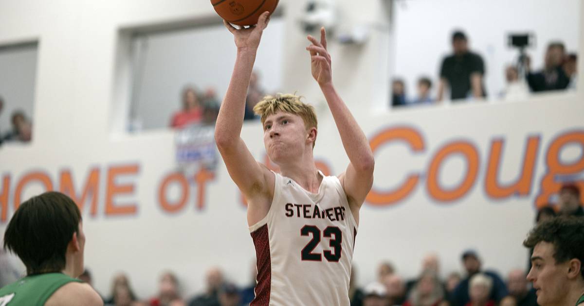 Photos: Fulton vs Scales Mound 1A sectional championship – Shaw Local