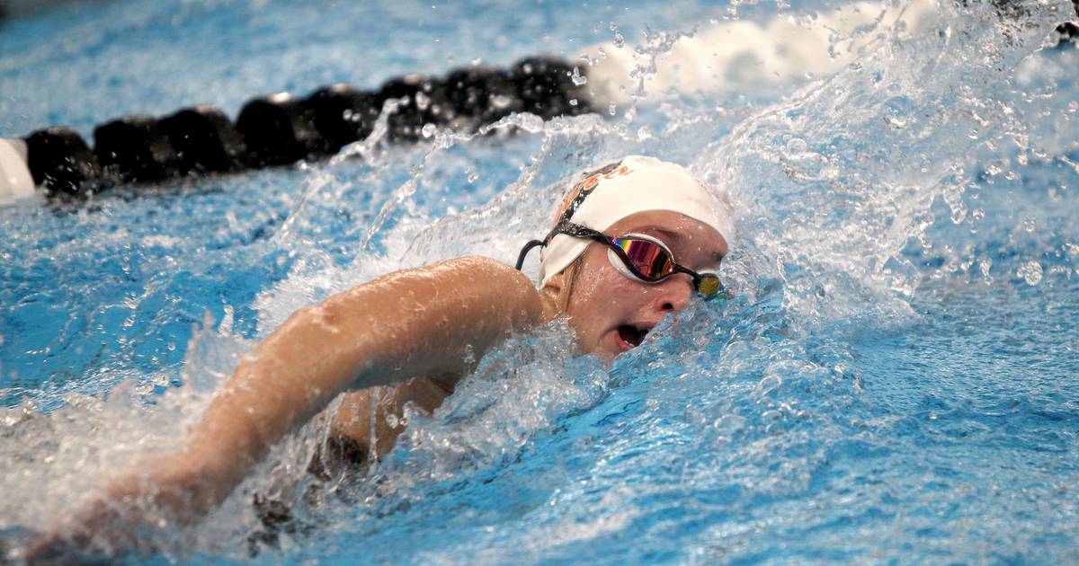 Area roundup: Dixon diver closes out career at state meet – Shaw Local