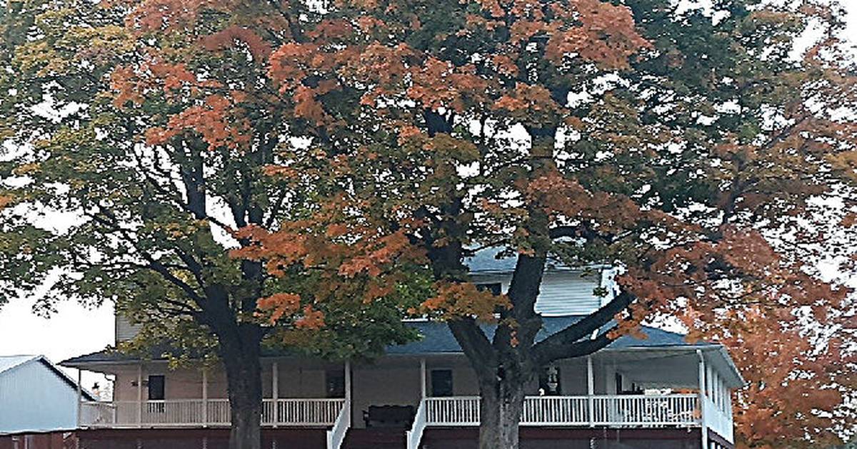 Welcoming autumn with zucchini cake, cowboy coffee, pumpkin spice and ...