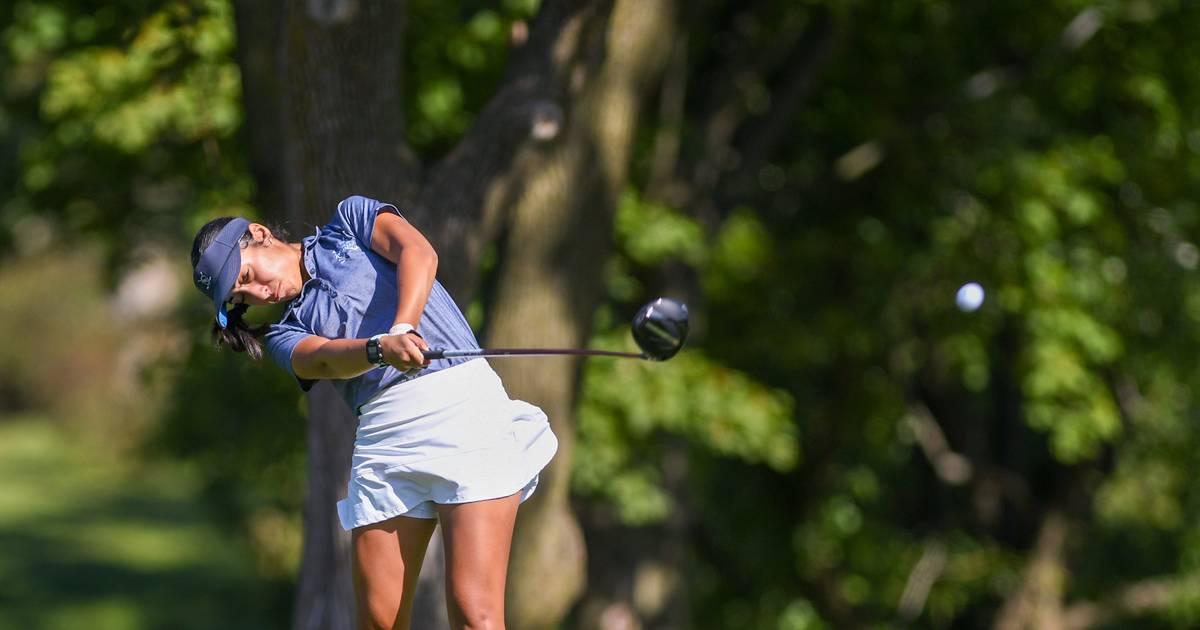 Isha Patel takes medalist honors to help Lake Park to DuKane Conference ...