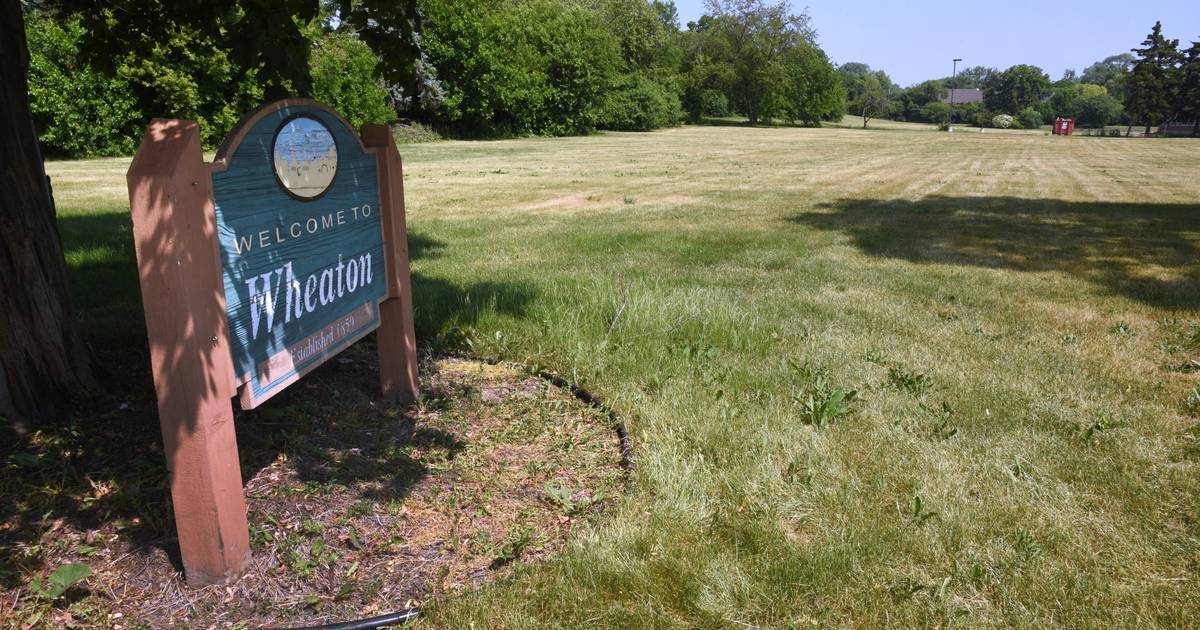 Plenty of summer activities remain in Wheaton – Shaw Local