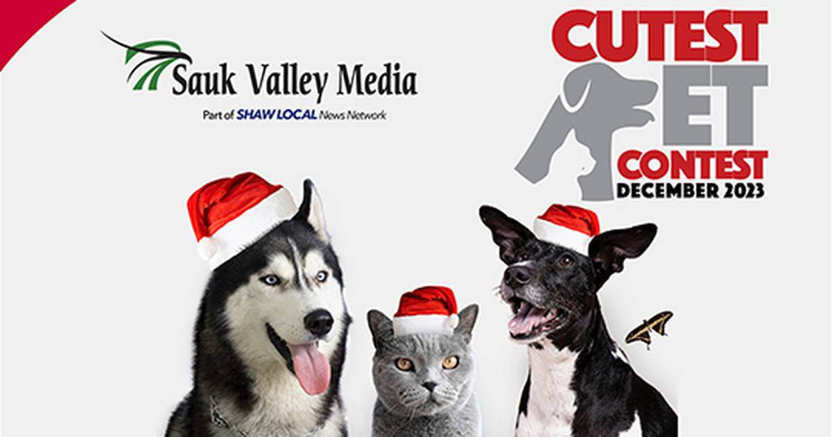 Sauk Valley December 2023 Cutest Pet Contest – Shaw Local
