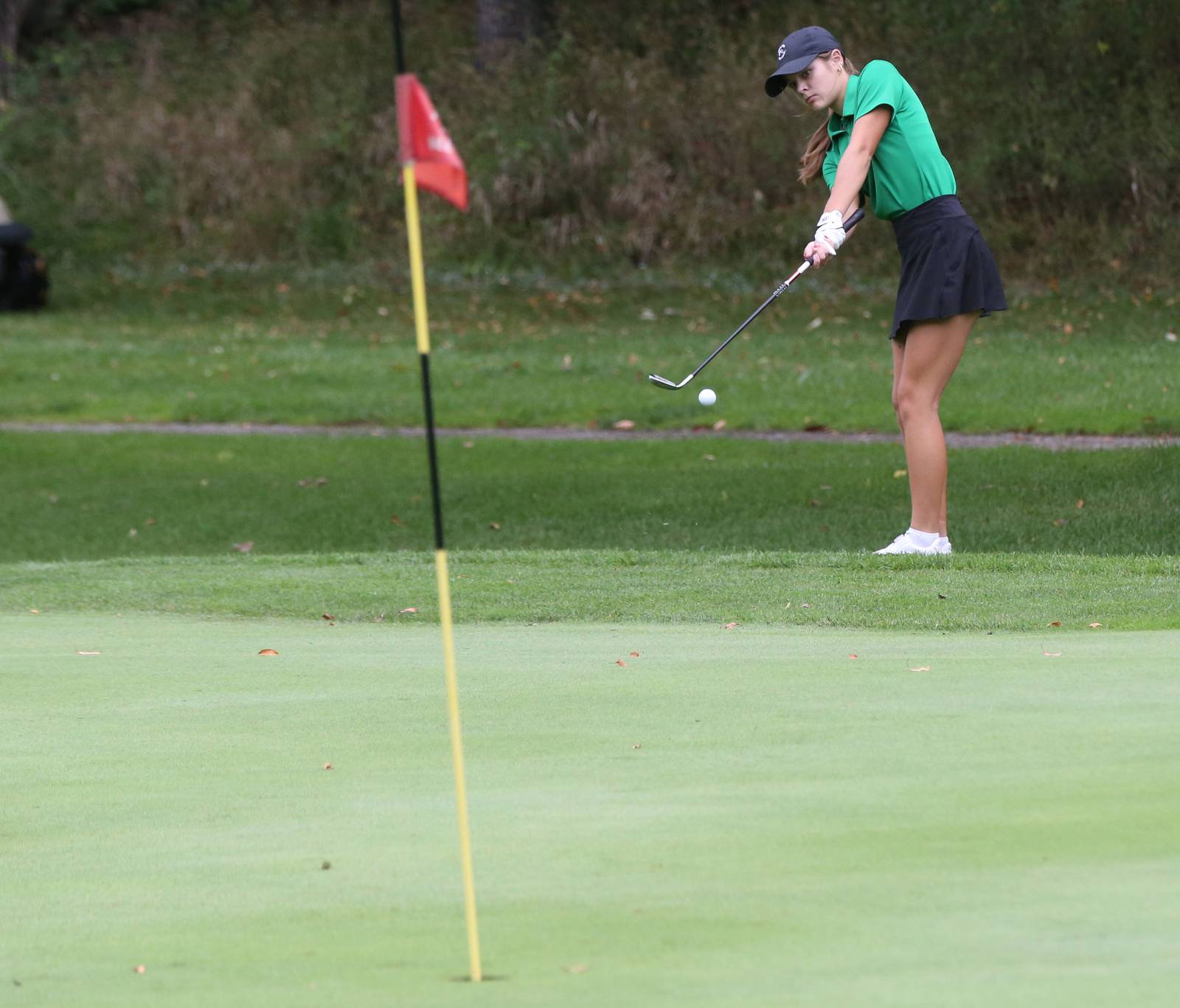 Girls golf: Piper Stenzel, Seneca win first regional championship ...