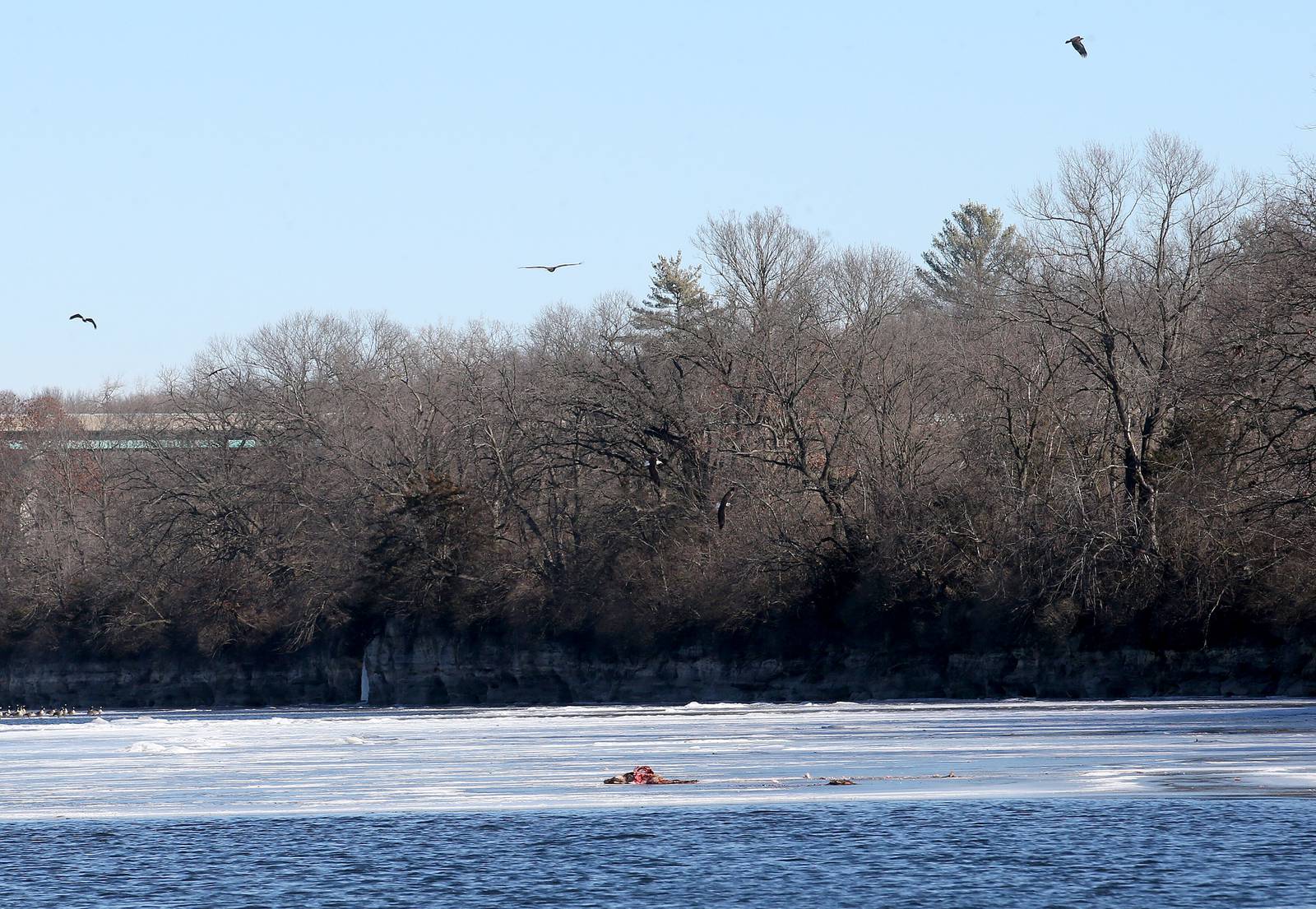 Friends of the Fox River rally against EPA ending protections for ‘70% ...
