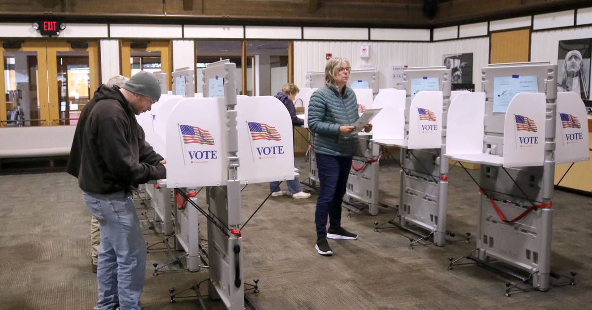 Election 2024 Dekalb County Board Districts 1 12 Primary Unofficial