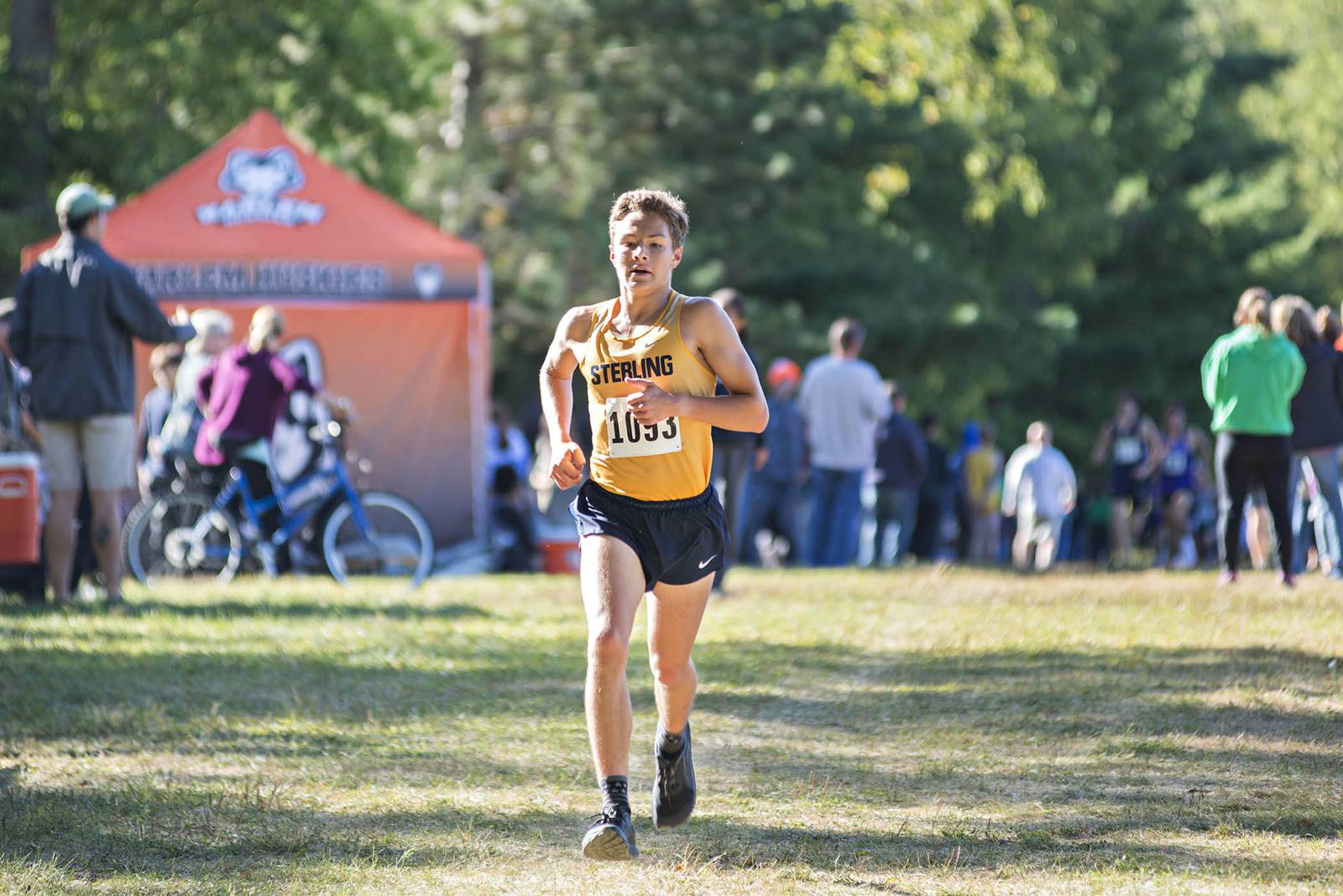 Cross country: Sterling’s Johnson wins boys race; Rock Falls girls ...