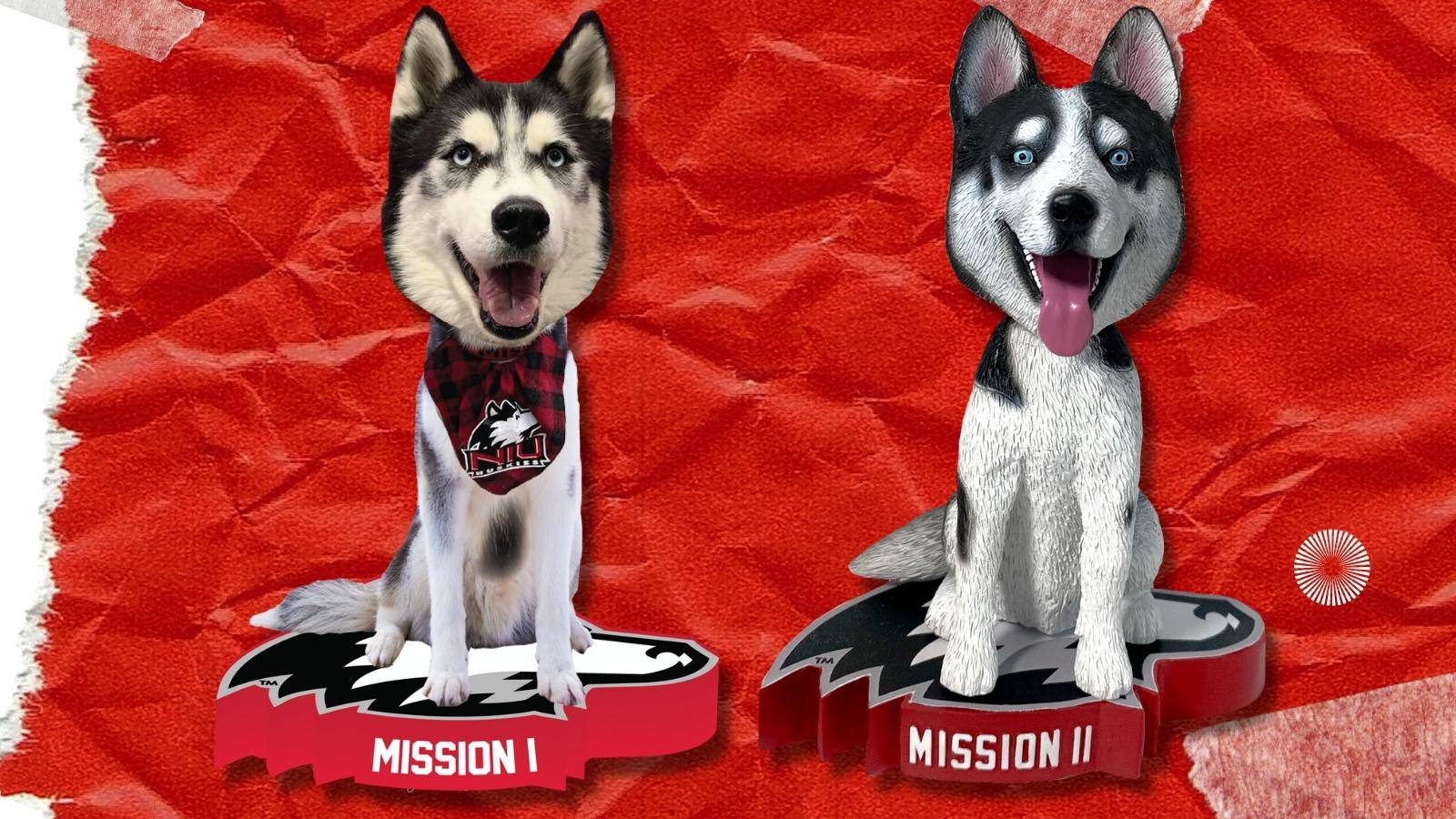 That’s a good boy: NIU mascots Mission I, Mission II to receive ...
