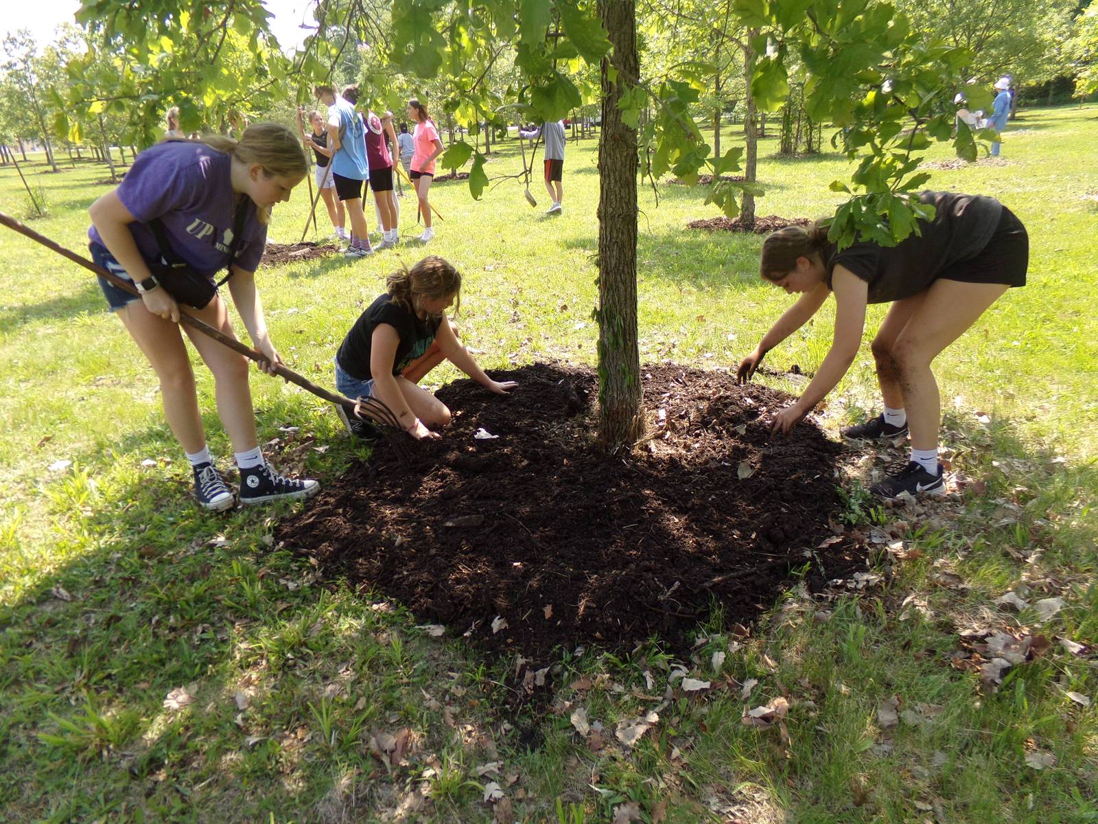 Milton Pope students volunteer at Illinois Fallen Soldiers Tree ...