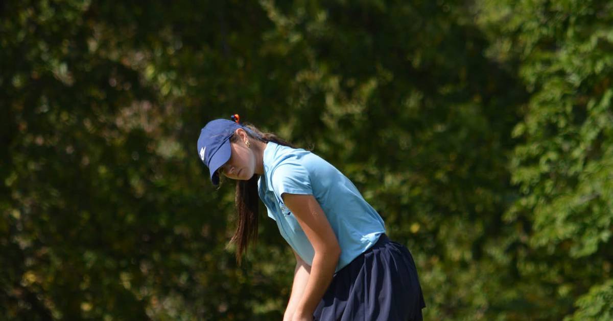 Oswego sophomore Alli Wiertel reflects on record-breaking IHSA state ...