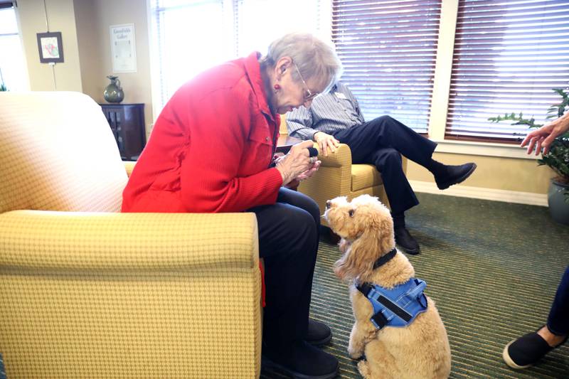 Photos: GreenFields of Geneva introduces therapy dog – Shaw Local