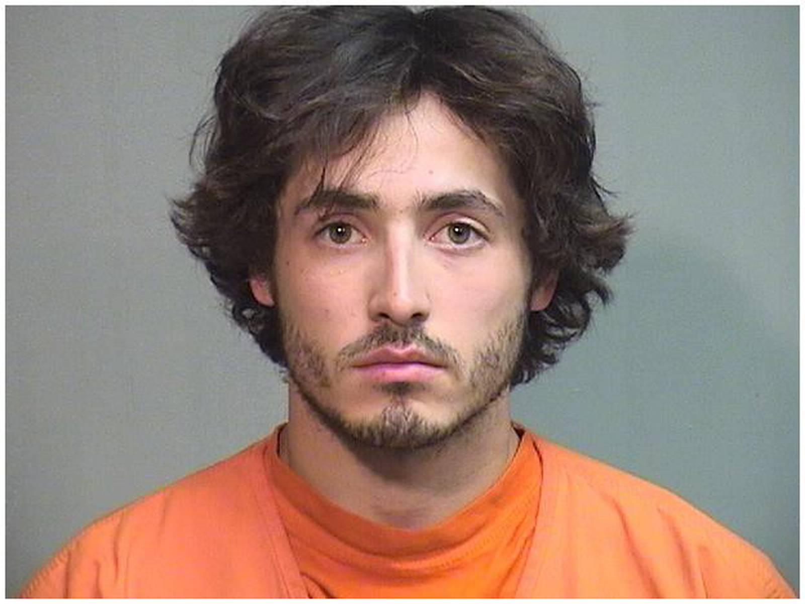 Wonder Lake man had 6 psychedelic-infused chocolate bars, police say ...