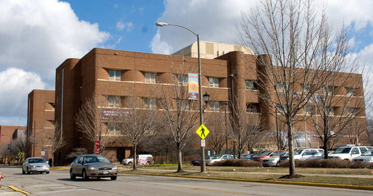 MacNeal Hospital to receive business excellence award – Shaw Local