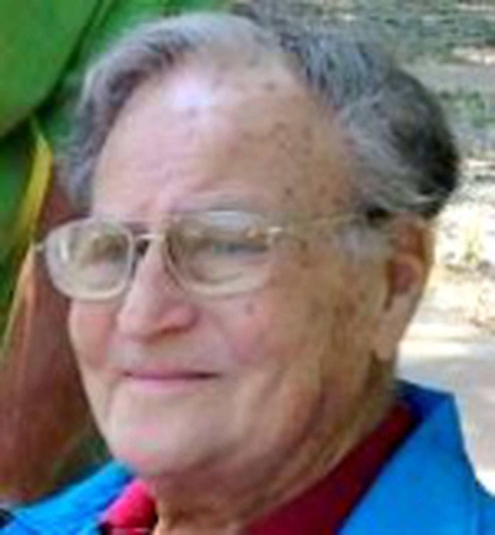 Roy Pollack – Shaw Local