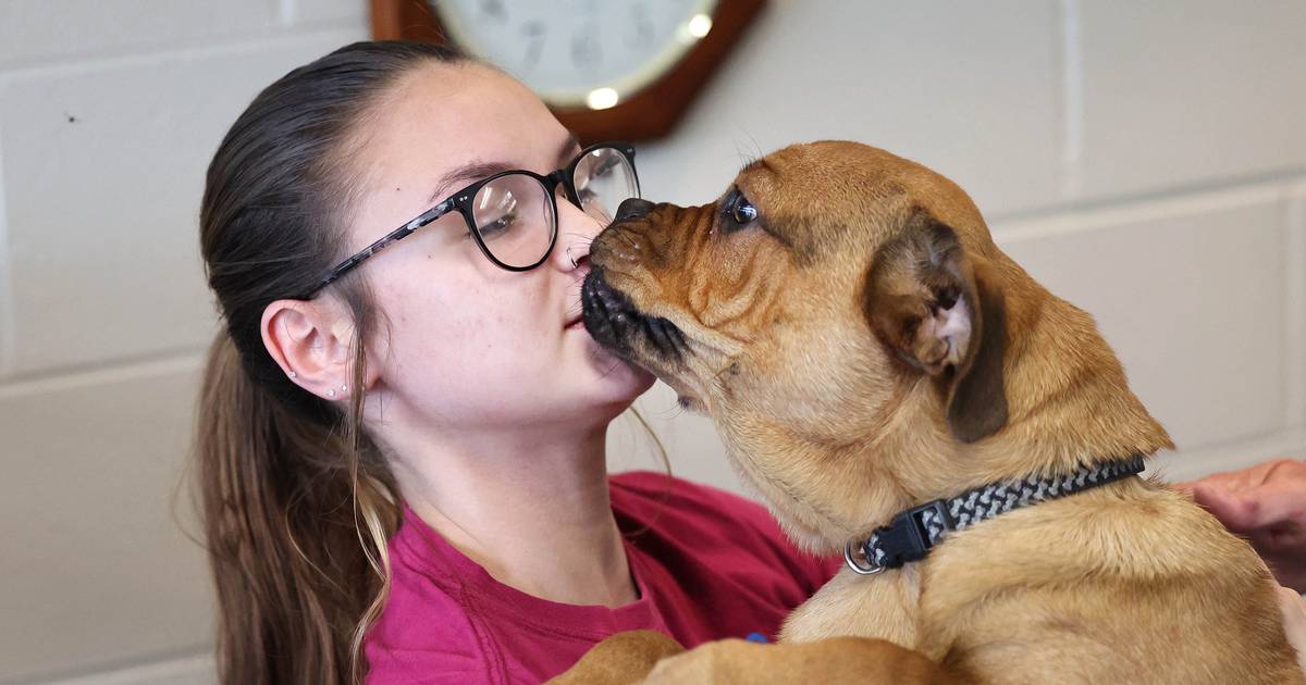 Fur a good cause: Tails on Tap Bar Crawl in DeKalb to benefit Tails ...