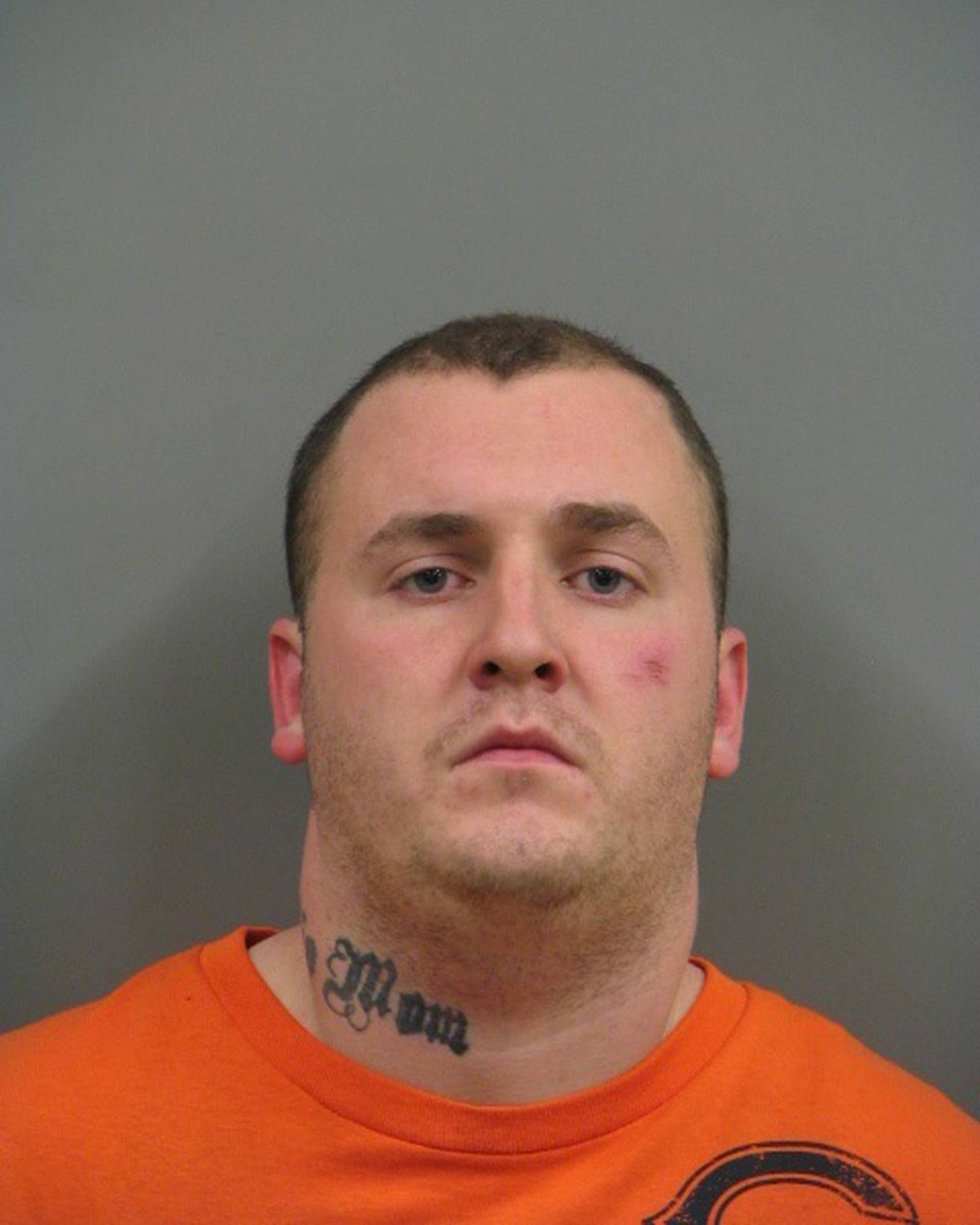 Villa Park Man Charged With Aggravated Robbery At Train Station Shaw