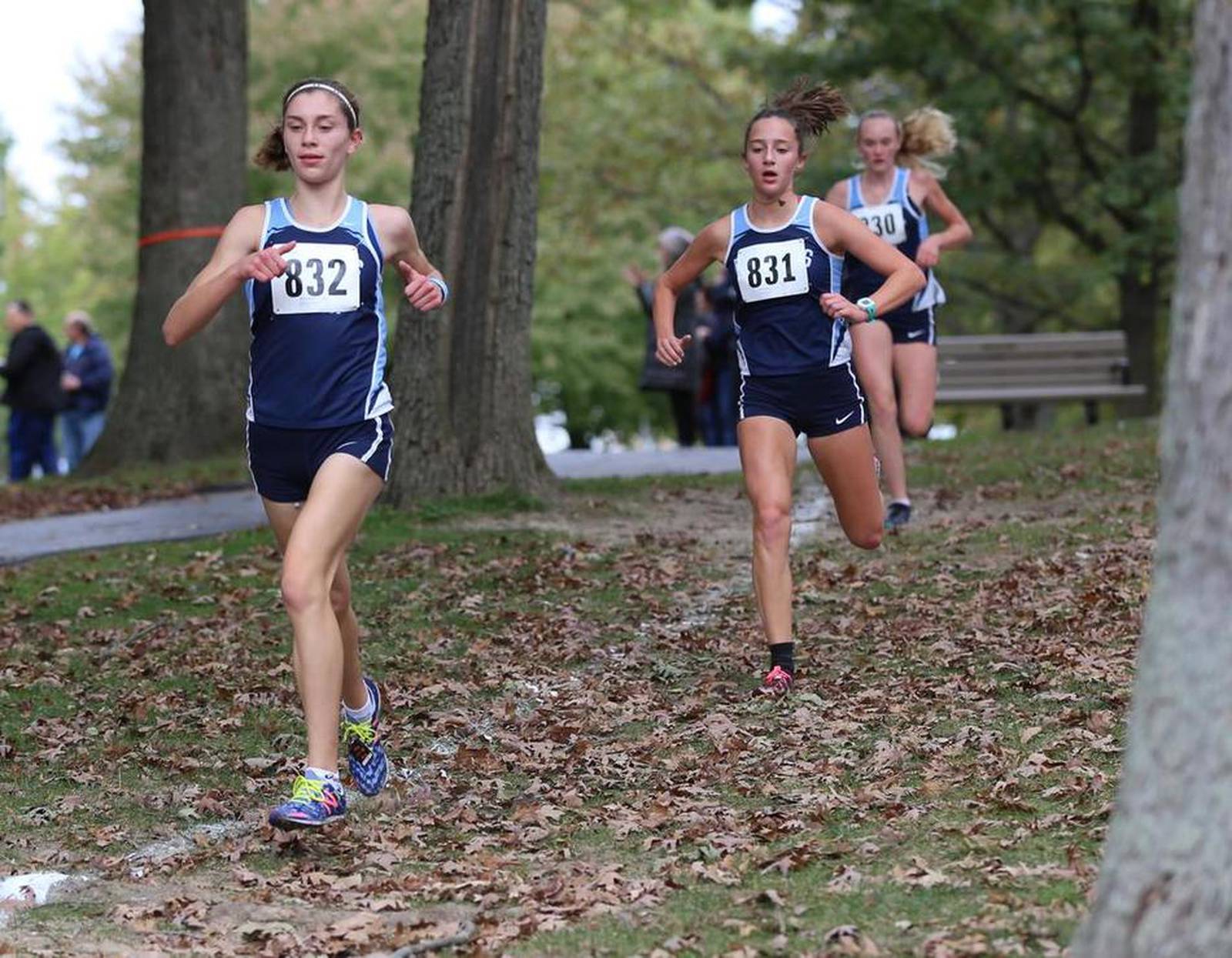 High school sports roundup: Downers Grove South girls win cross country ...