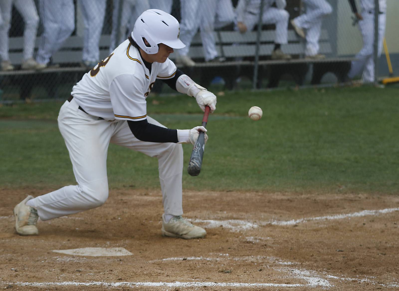 Photos: Jacobs vs. Cary-Grove baseball – Shaw Local