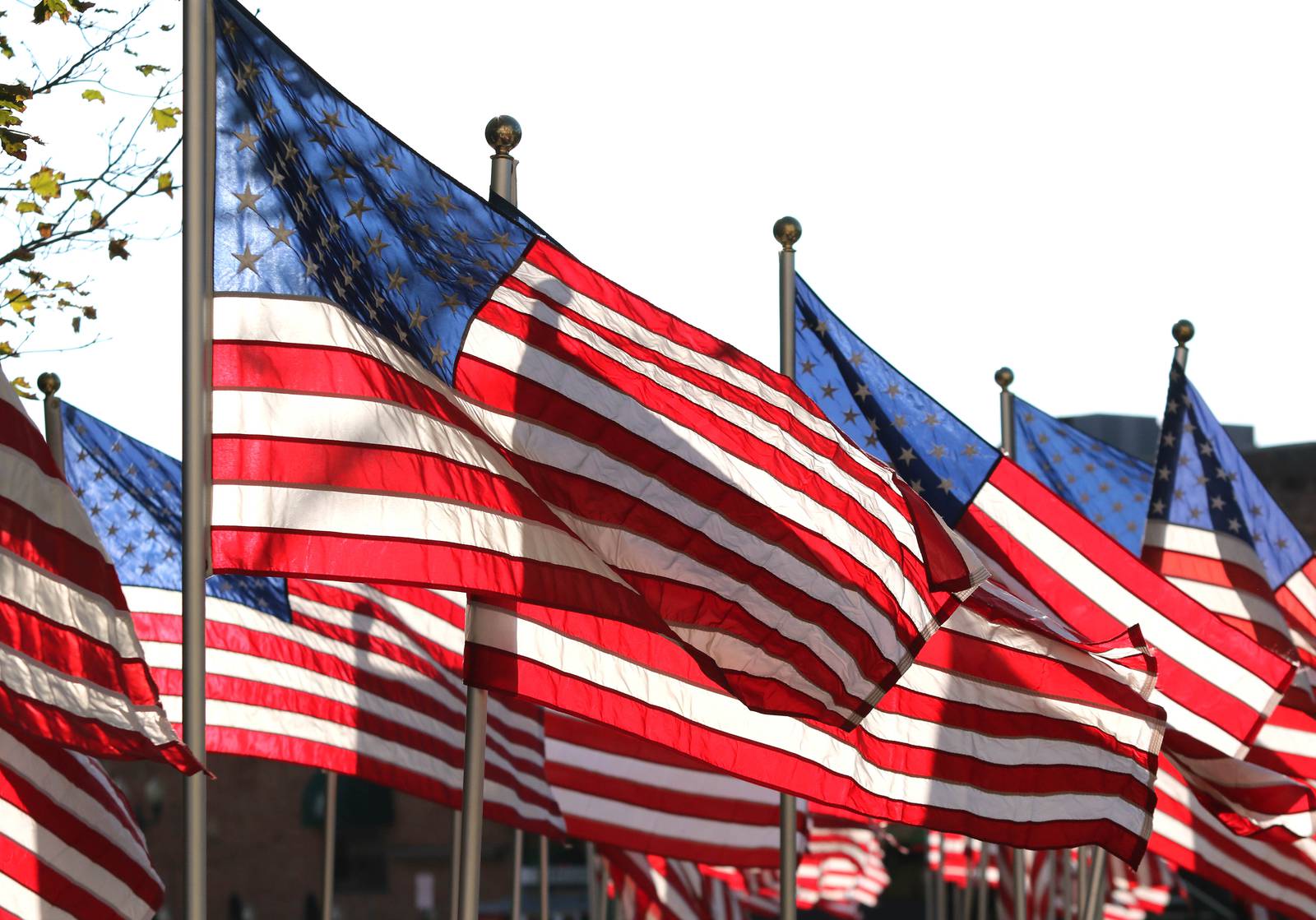 5 things to do in DeKalb County: Flag Day Car Show, ‘Legally Blonde the ...