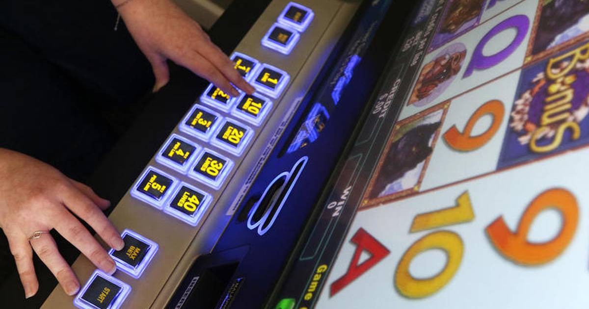 More video gaming terminals coming to Utica – Shaw Local