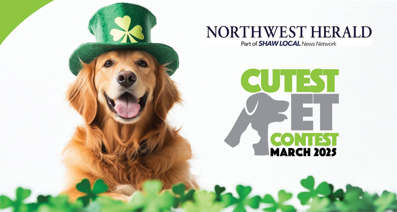 McHenry County’s March Cutest Pet Contest – Shaw Local