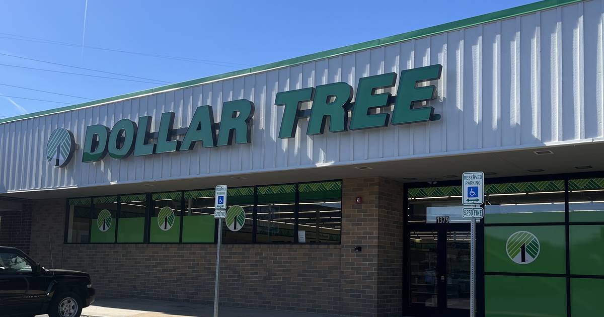New Dollar Tree store opens in Dixon – Shaw Local