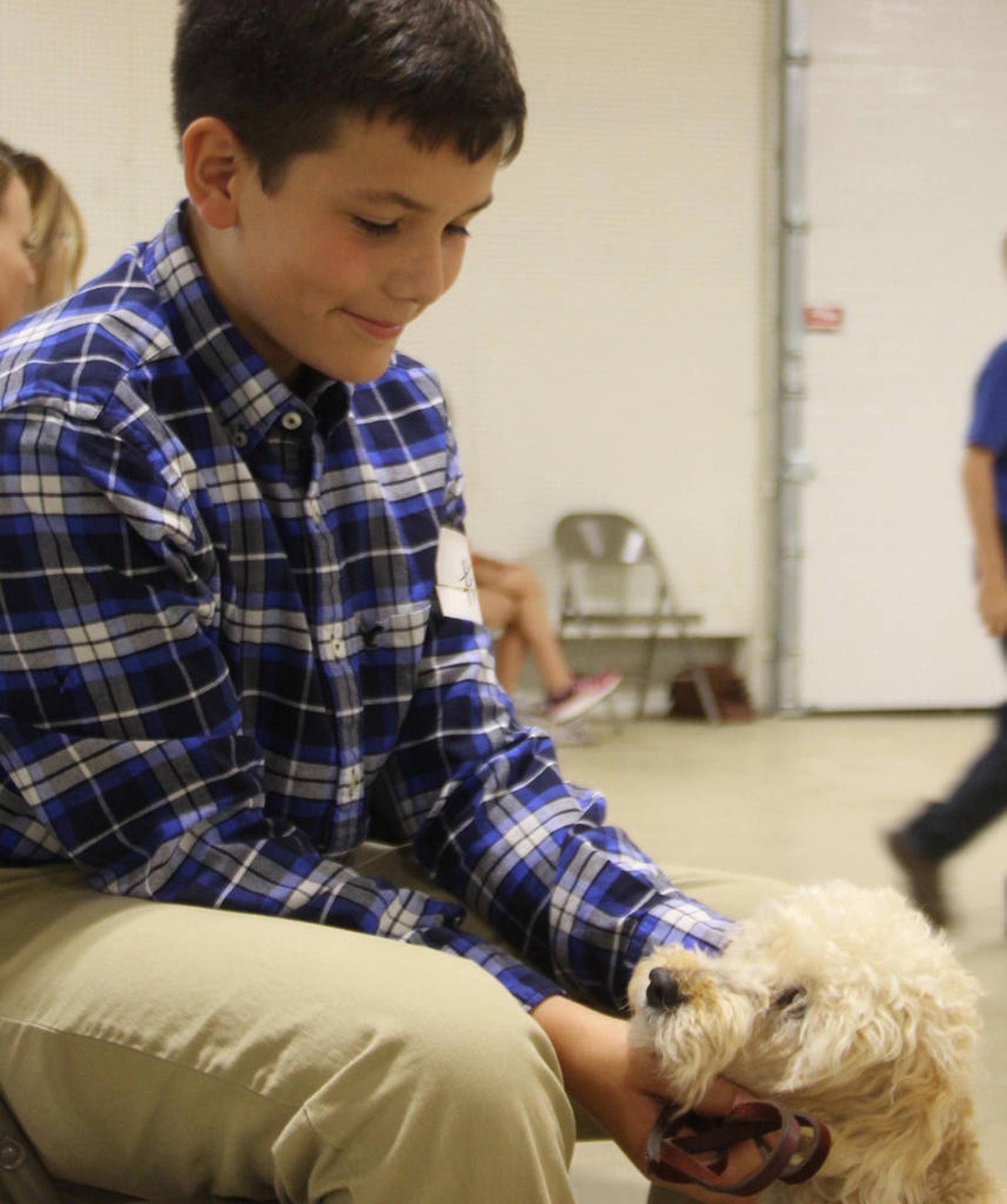 Kendall County 4-H members, dogs demonstrate skills at show – Shaw Local