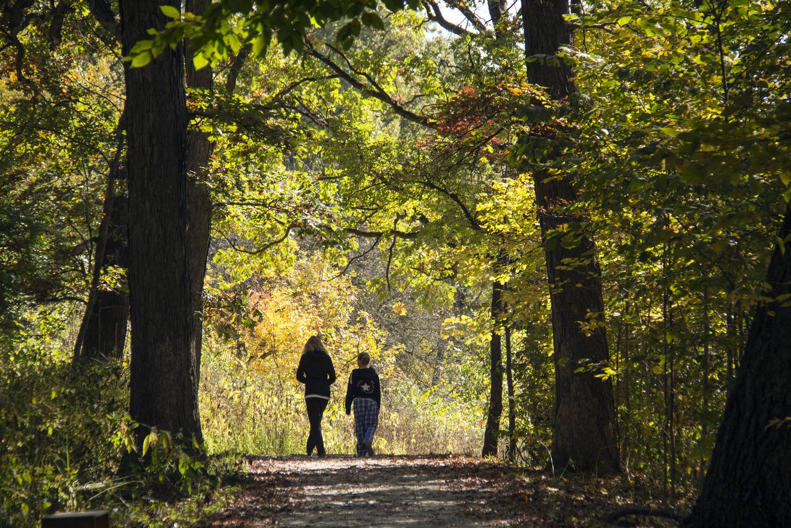 New pedestrian bridge planned for Maple Grove Forest Preserve near ...